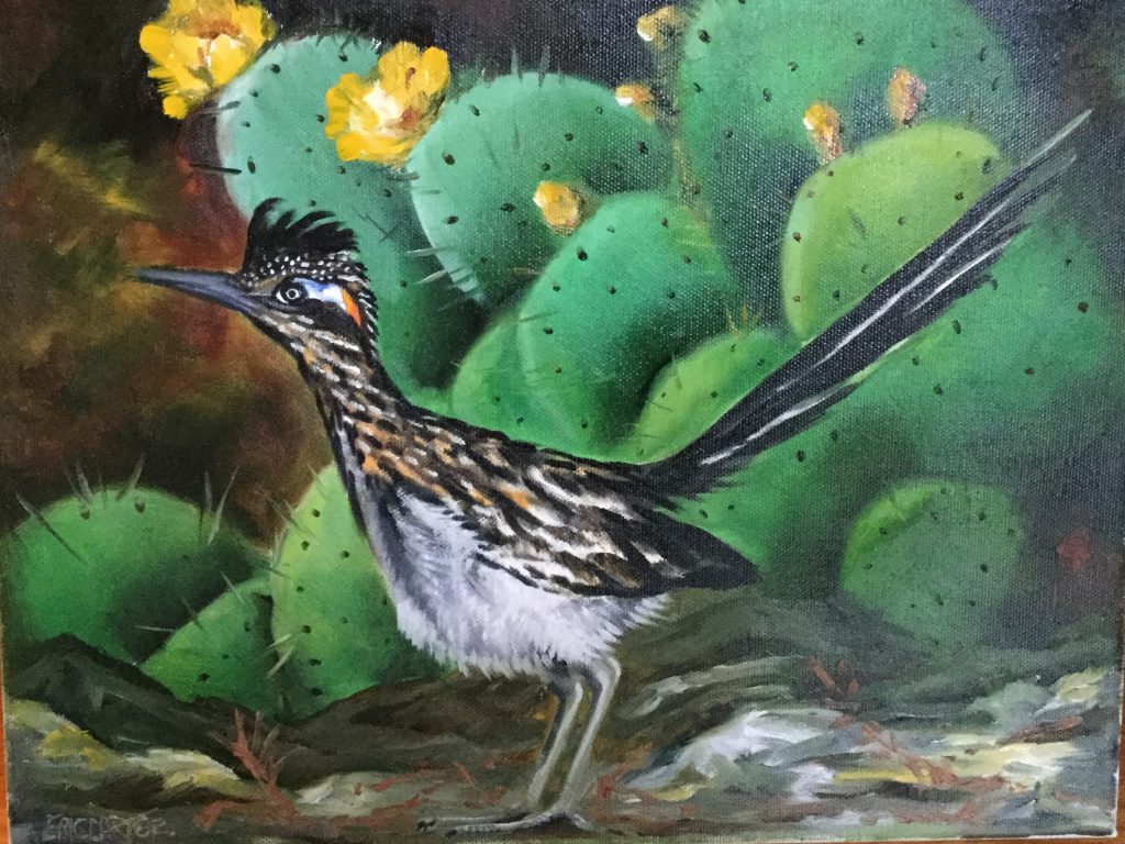 roadrunner - Gallery Andrea